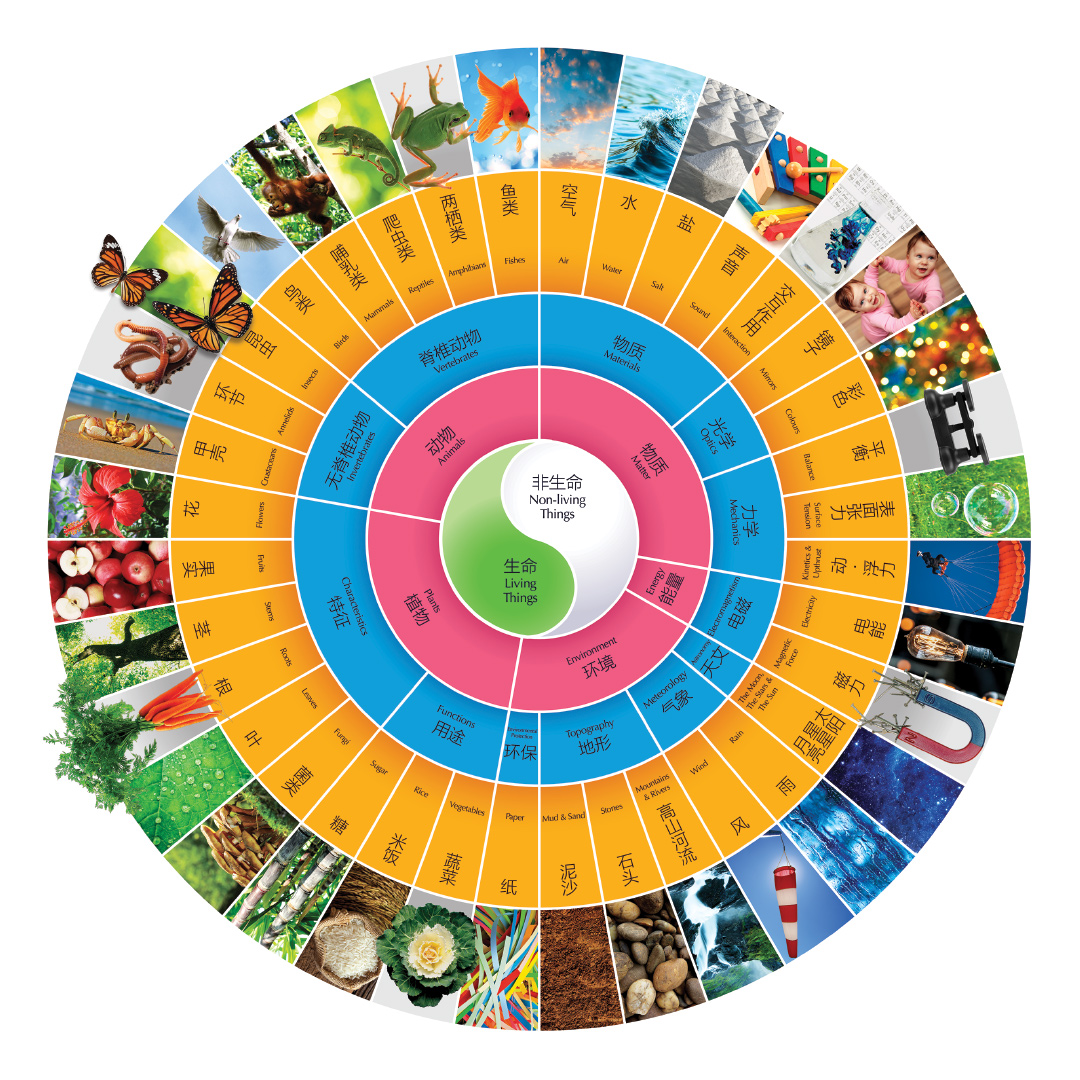 Curriculum | Tadika Bestari